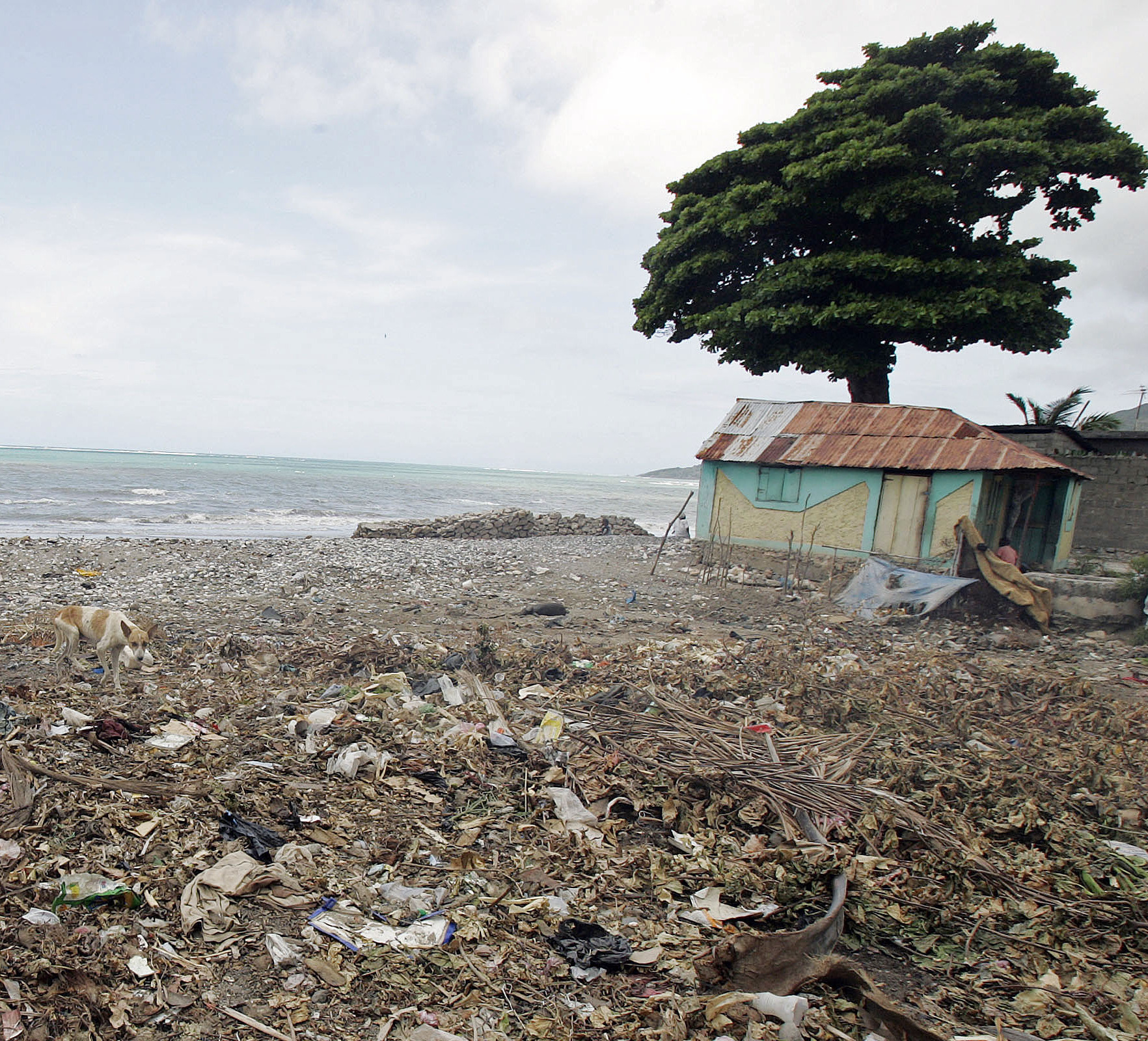 The Science of Environmental Journalism - Rukhmabai Initiatives